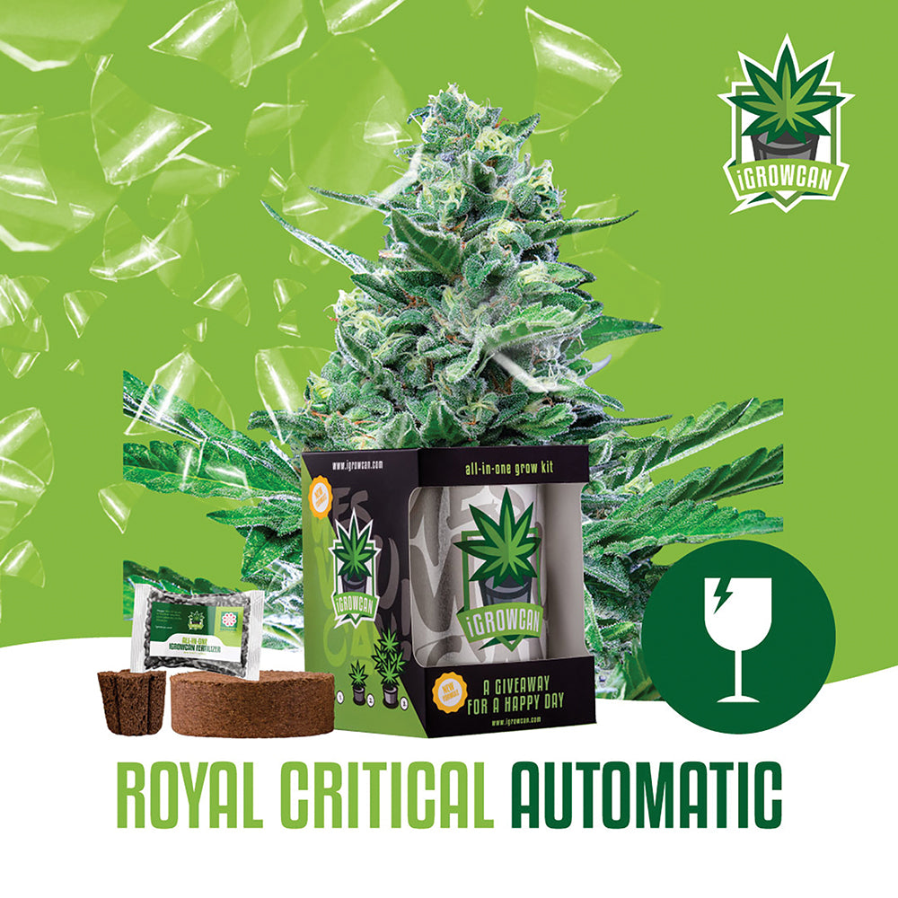 Royal Critical Automatic iGrowCan - All in One Grow Kit – SnowTree